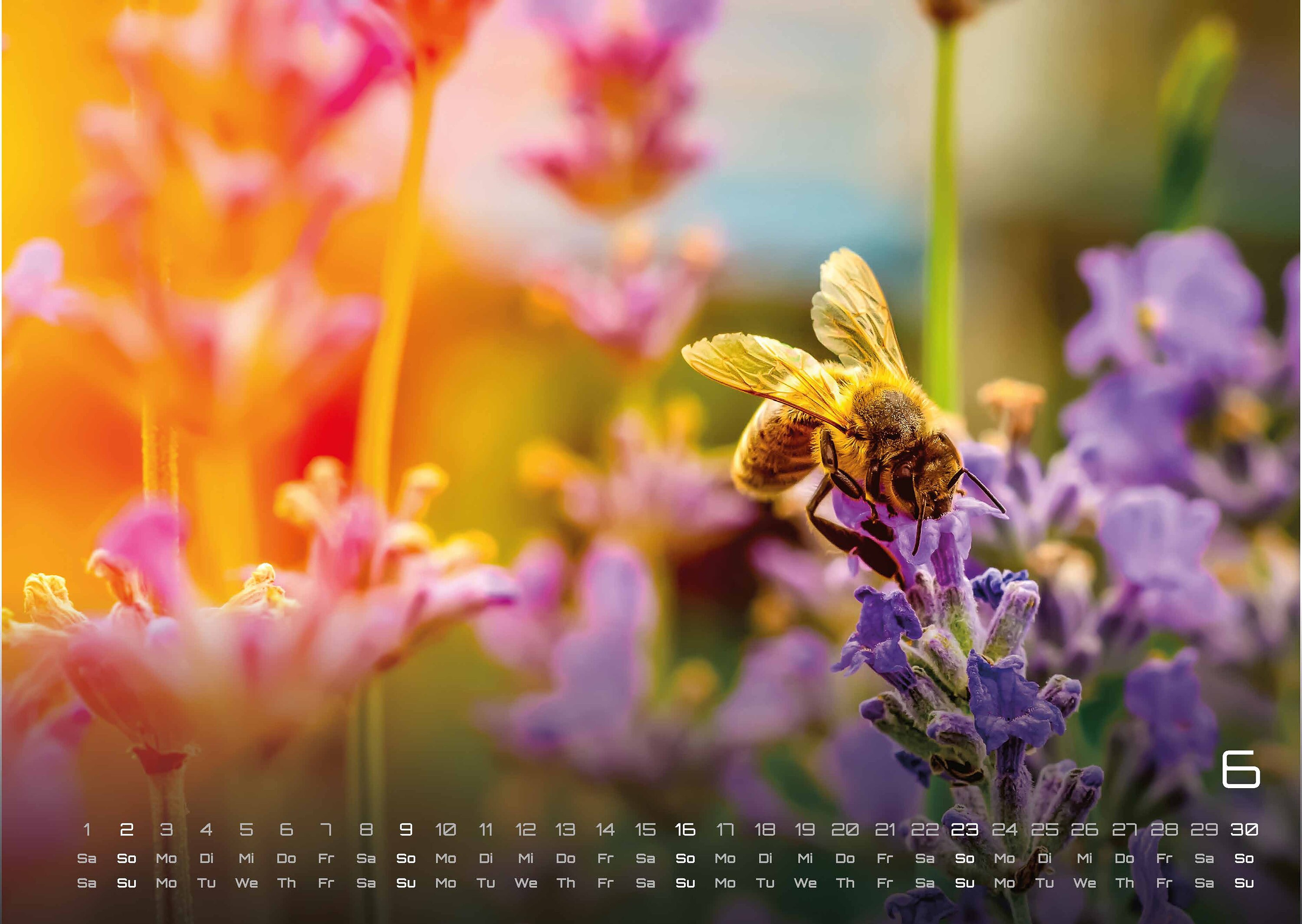 BEE.HONEY 2024 Bee & Beekeeping Calendar DIN A3 - Etsy