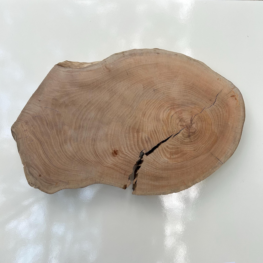 Raw Sycamore Art, Sycamore Wood for Epoxy, Live Edge Sycamore Wood ...