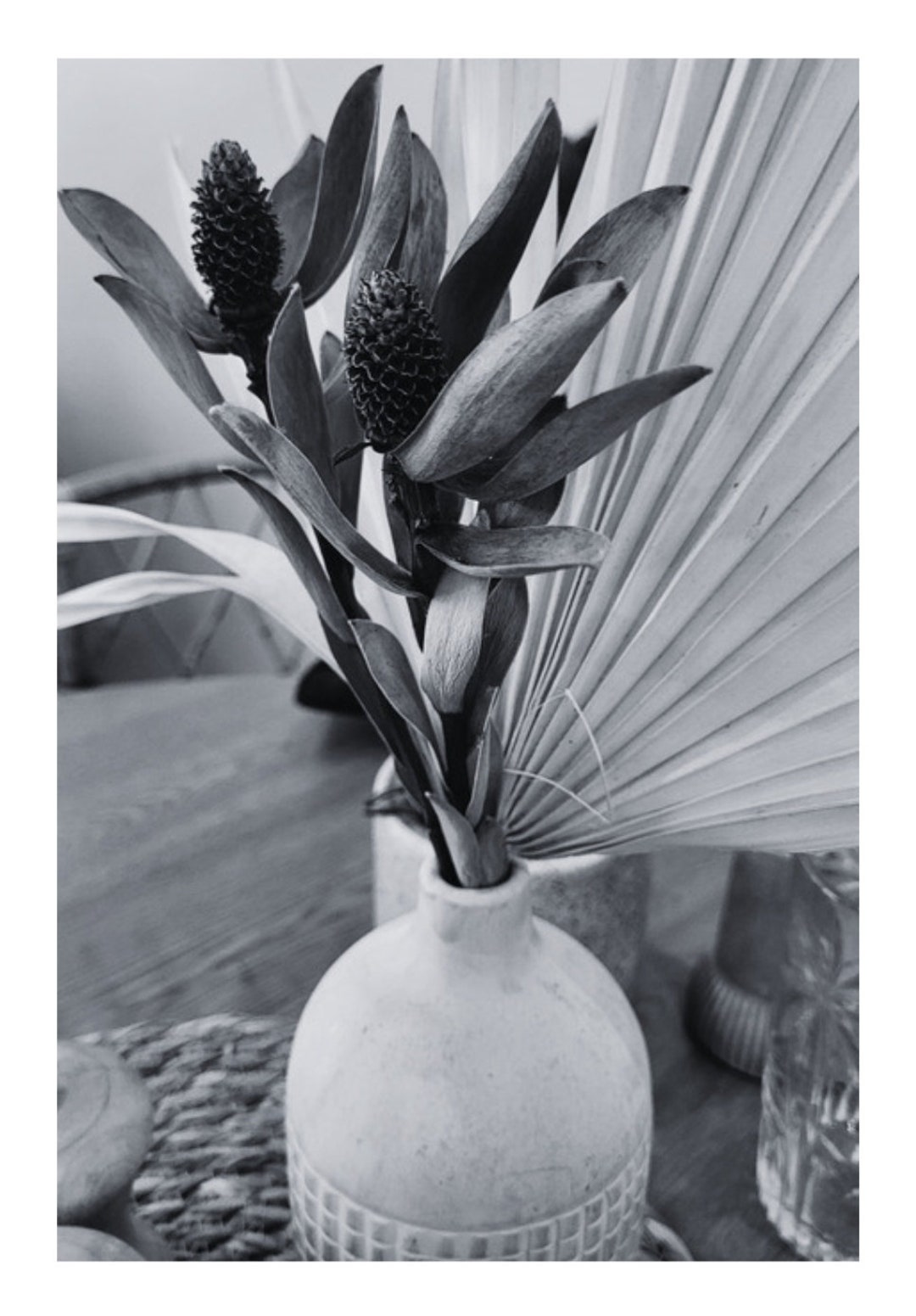 Floral Poster, Floral Print, Black and White Wall Art, Australian Print ...