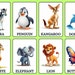 Printable Children's Flash Cards - Animals - Comes With a Free Coloring ...