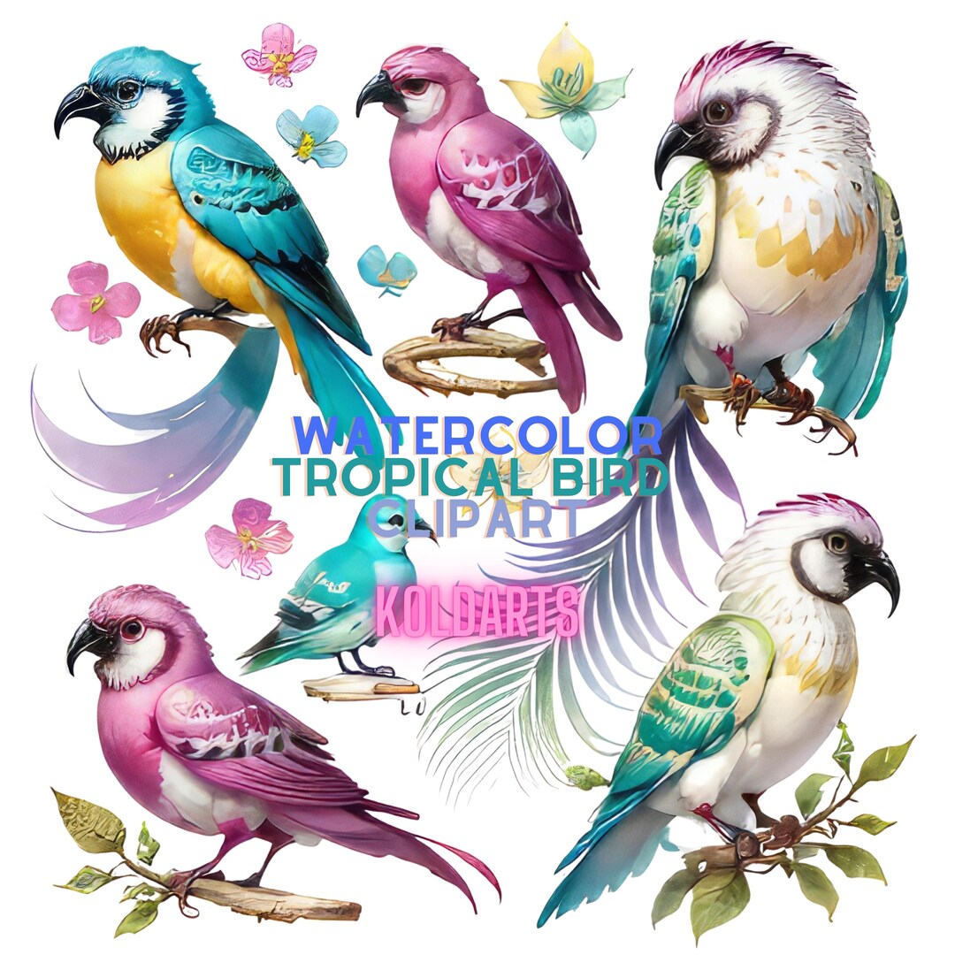 Watercolor Tropical Bird Clipart- 38 Images of Flower Vibrantbirds JPG ...