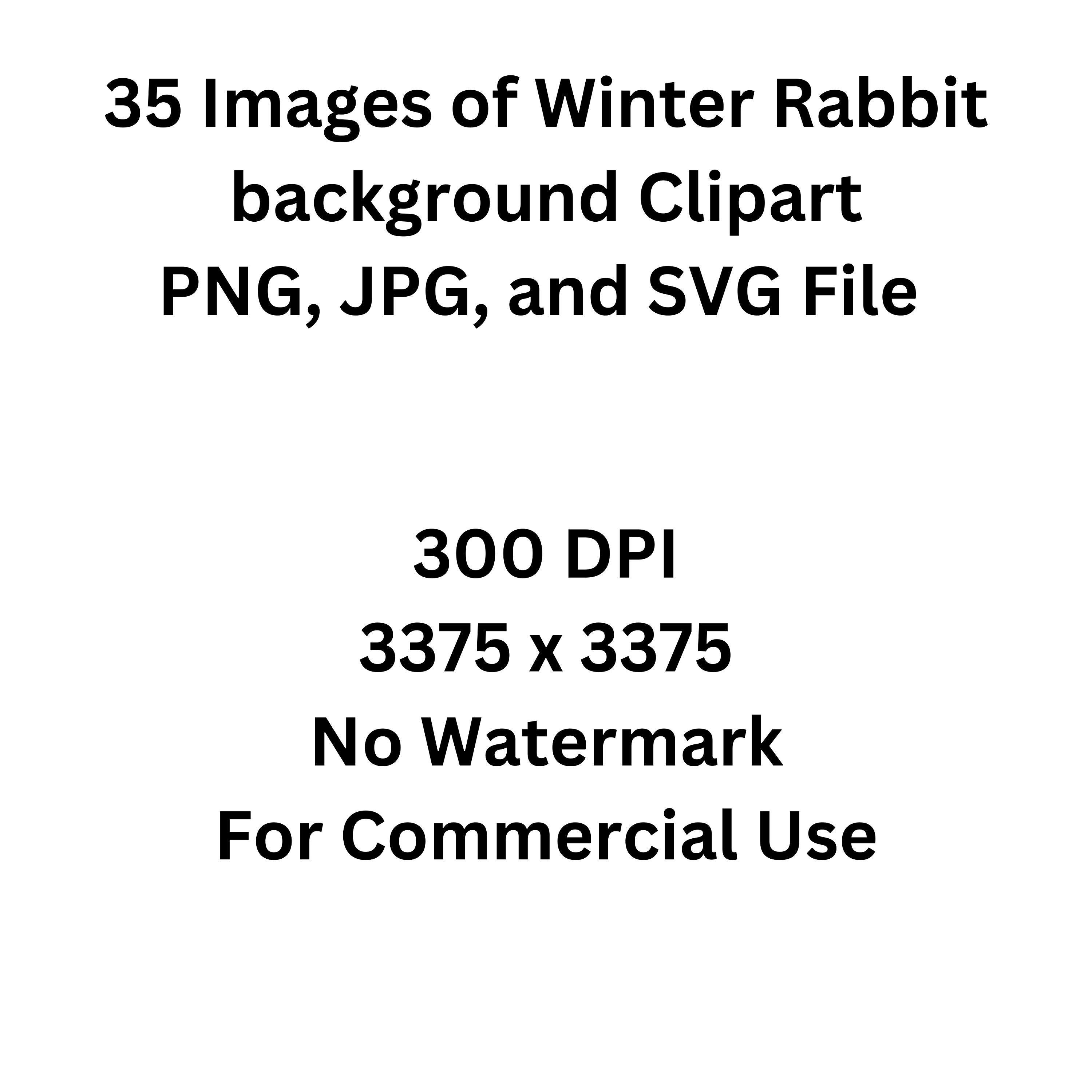 Watercolor Winter Snow Rabbit Clipart-35 Easter Bunny Dreams:premium ...
