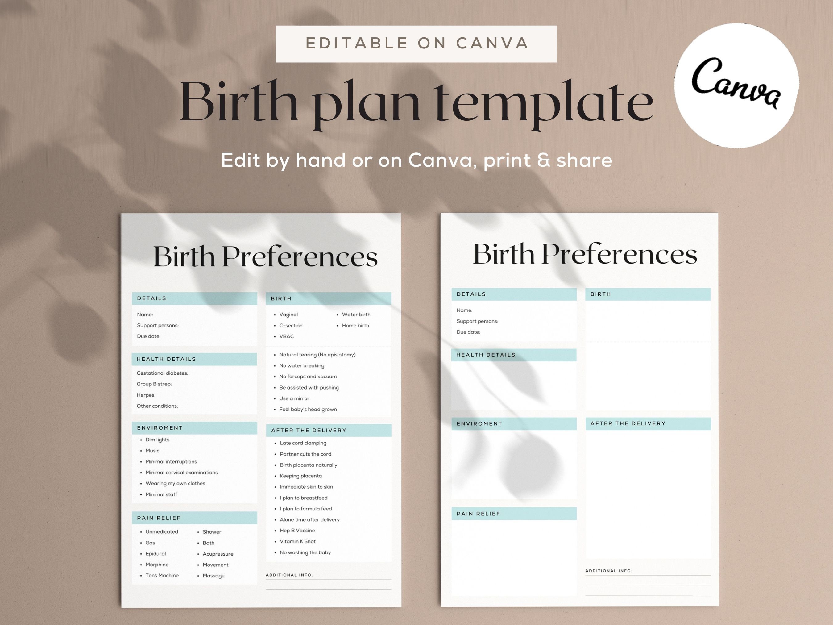 Birth Plan Template | Birth Preferences | Editable Plan Template ...