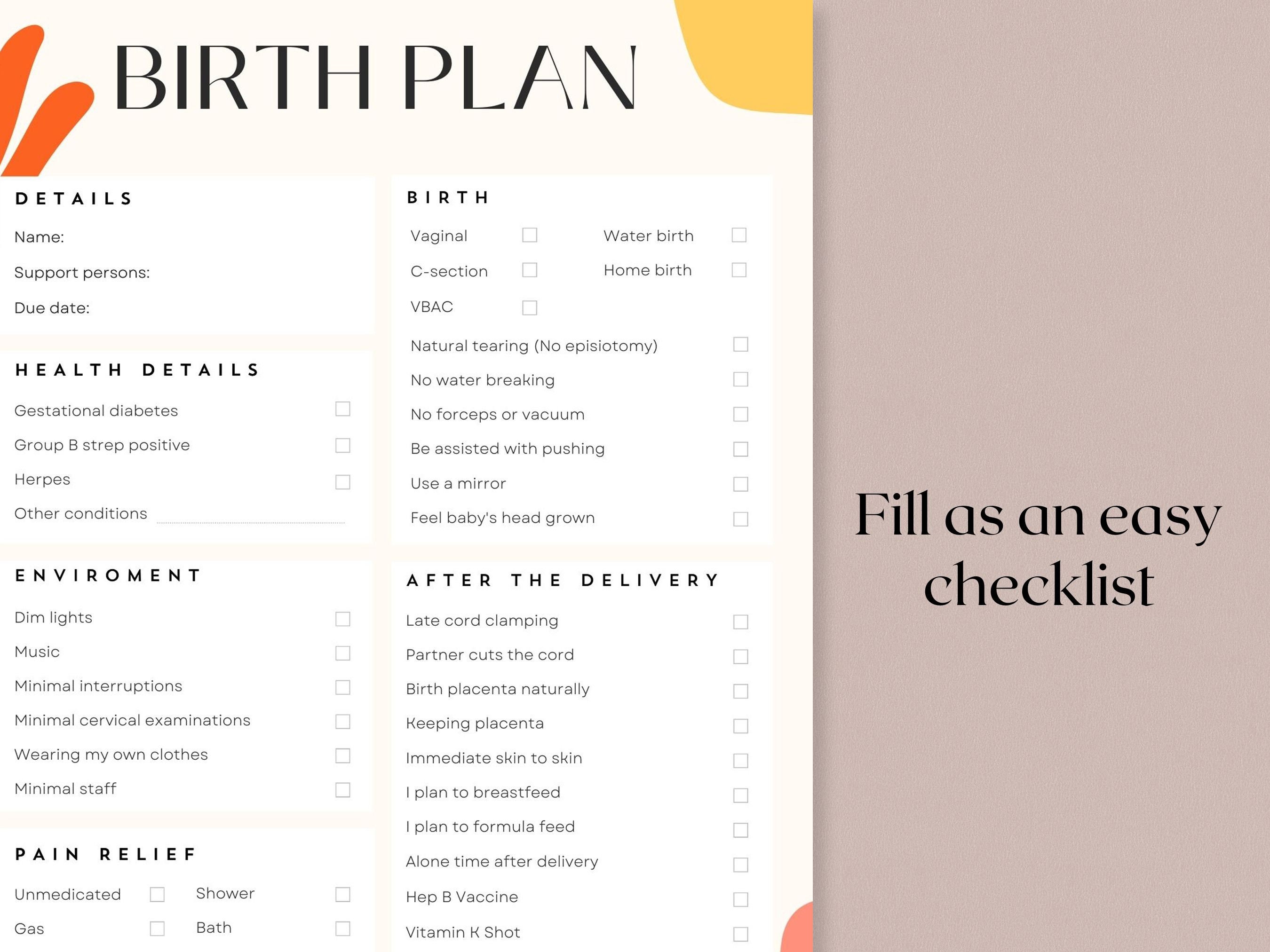 Birth Plan Template | Birth Preferences | Editable Plan Template ...