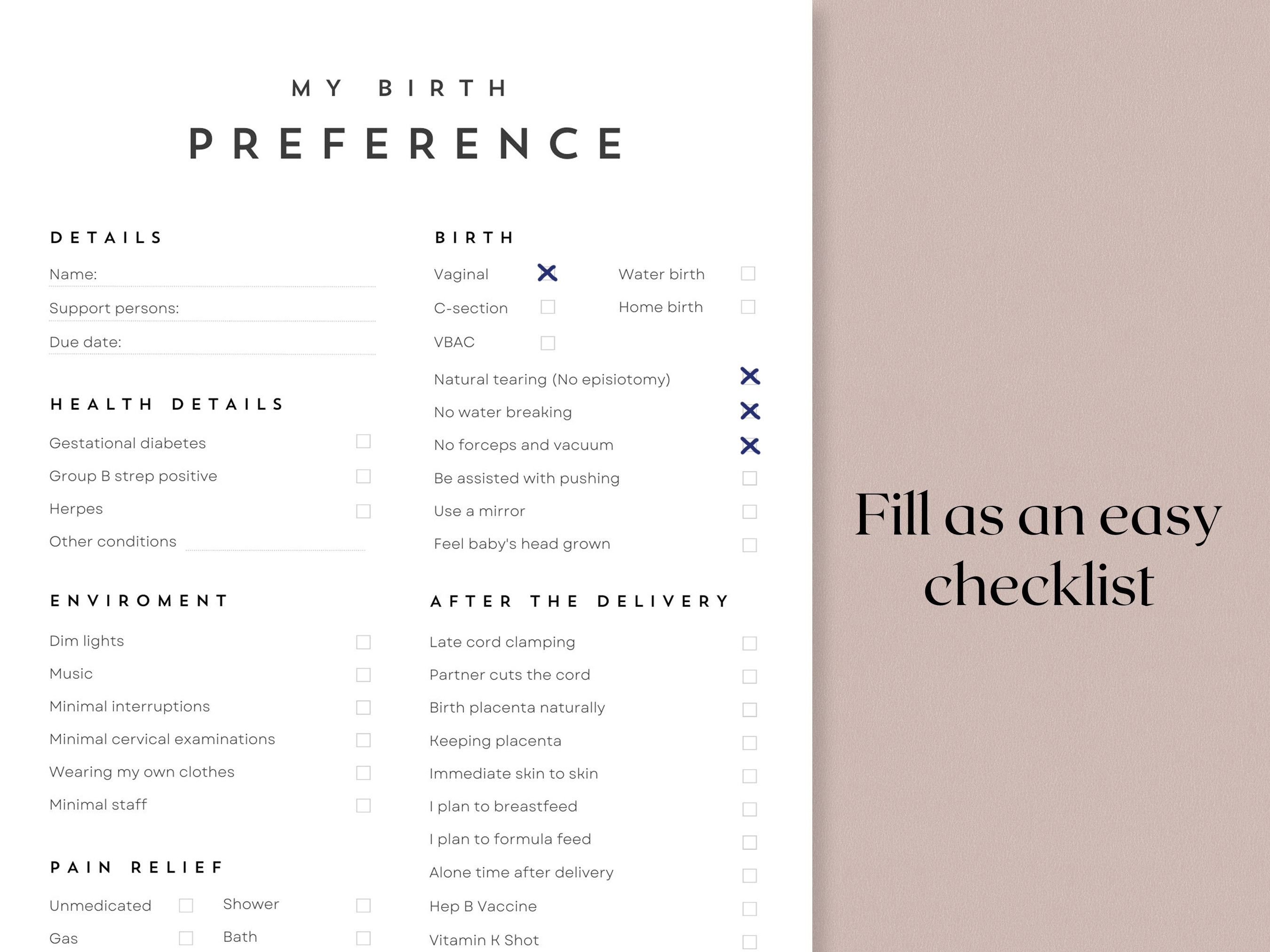 Birth Plan Template | Birth Preferences | Editable Plan Template ...