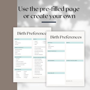 Birth Plan Template Birth Preferences Editable Plan Template Sample ...