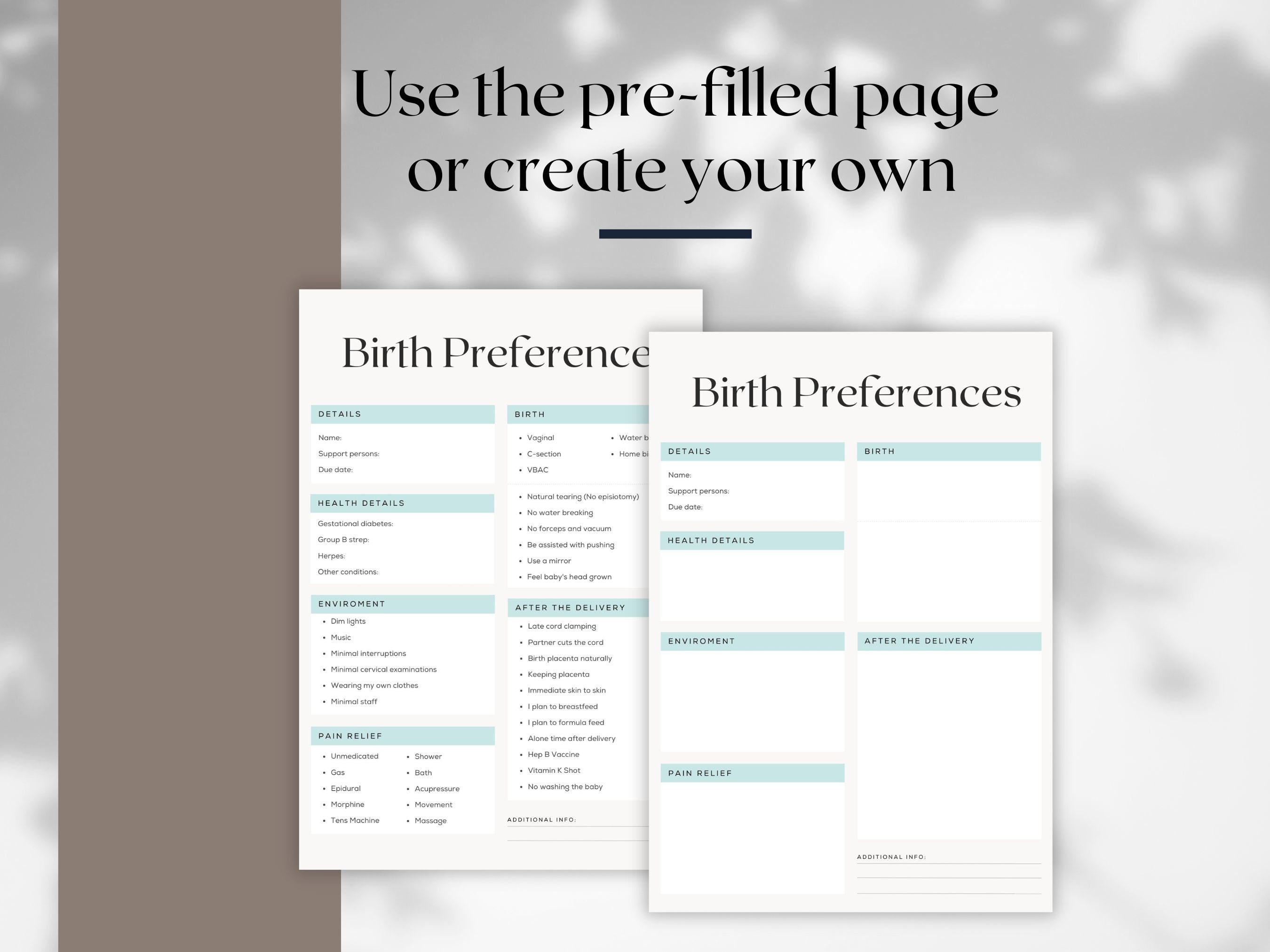 Birth Plan Template | Birth Preferences | Editable Plan Template ...