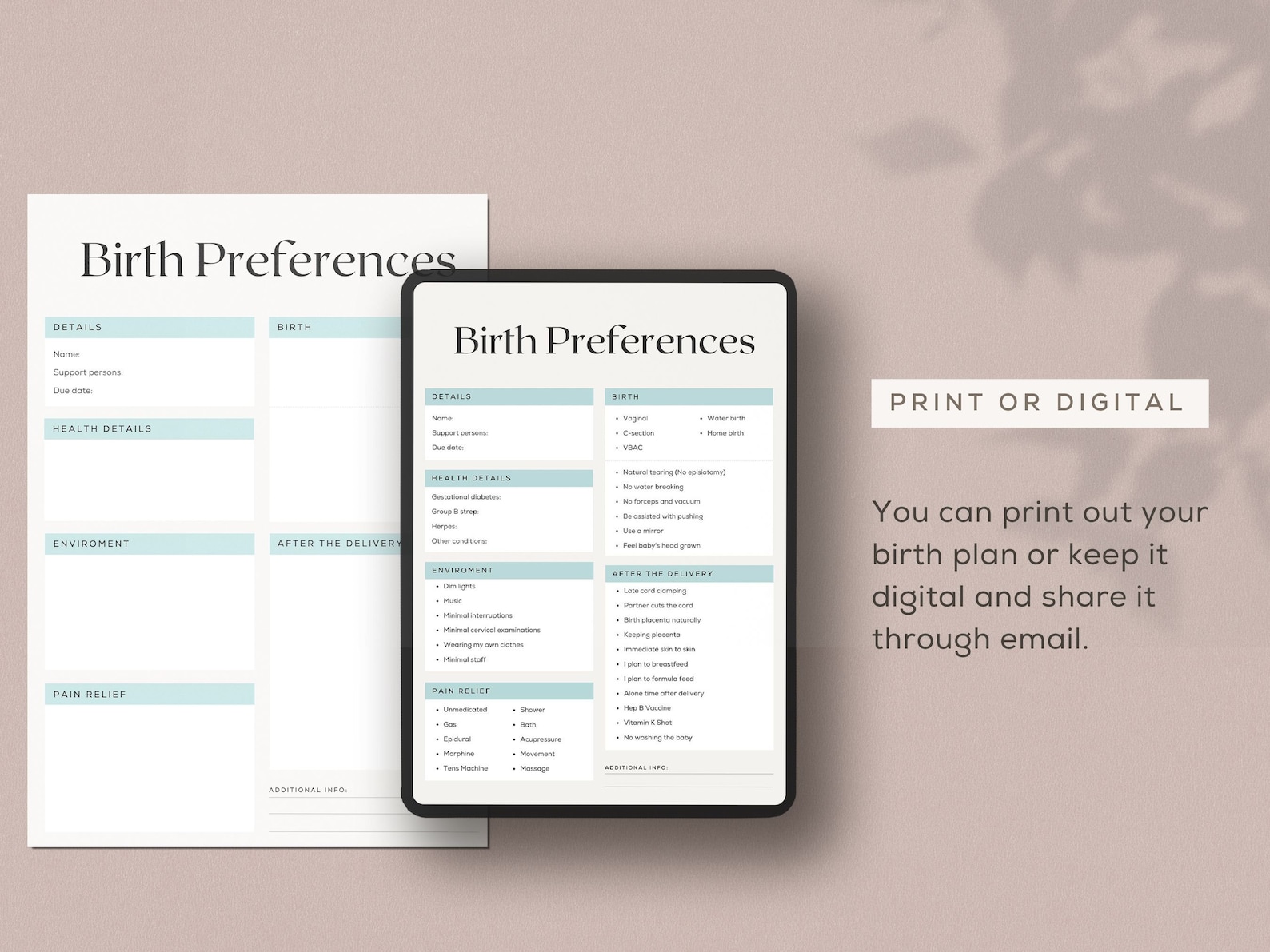 Birth Plan Template | Birth Preferences | Editable Plan Template ...