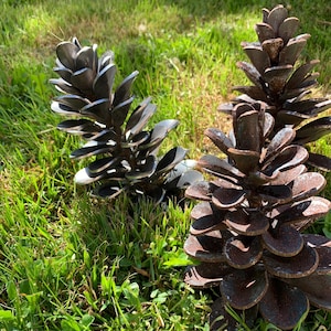 Rusted Pine Cone Sculpture - Adorn Your Home and Space , Unique Metal ...