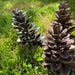 Rusted Pine Cone Sculpture - Adorn Your Home and Space , Unique Metal ...