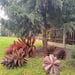 Rusted Pine Cone Sculpture - Adorn Your Garden, Unique Metal Sculpture ...