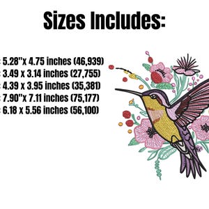 Hummingbird Machine Embroidery Design - Hummingbird Bird of Paradise ...