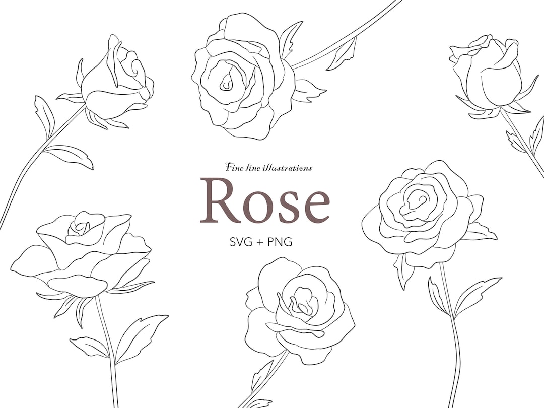 Rose Fine Line Art Rose SVG Rose Clipart Rose Bouquet - Etsy