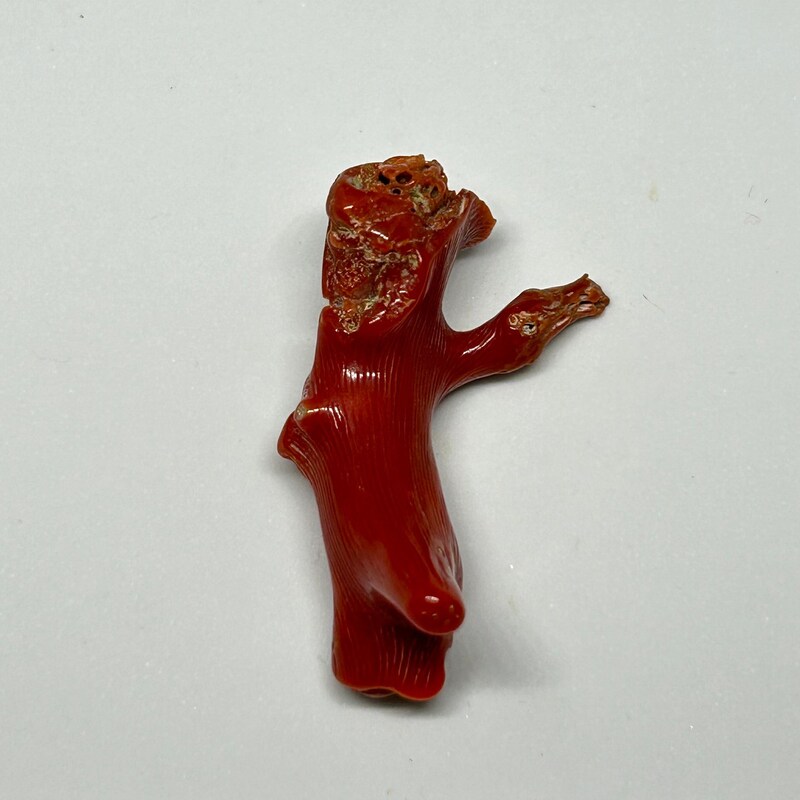 Polished Coral - Etsy