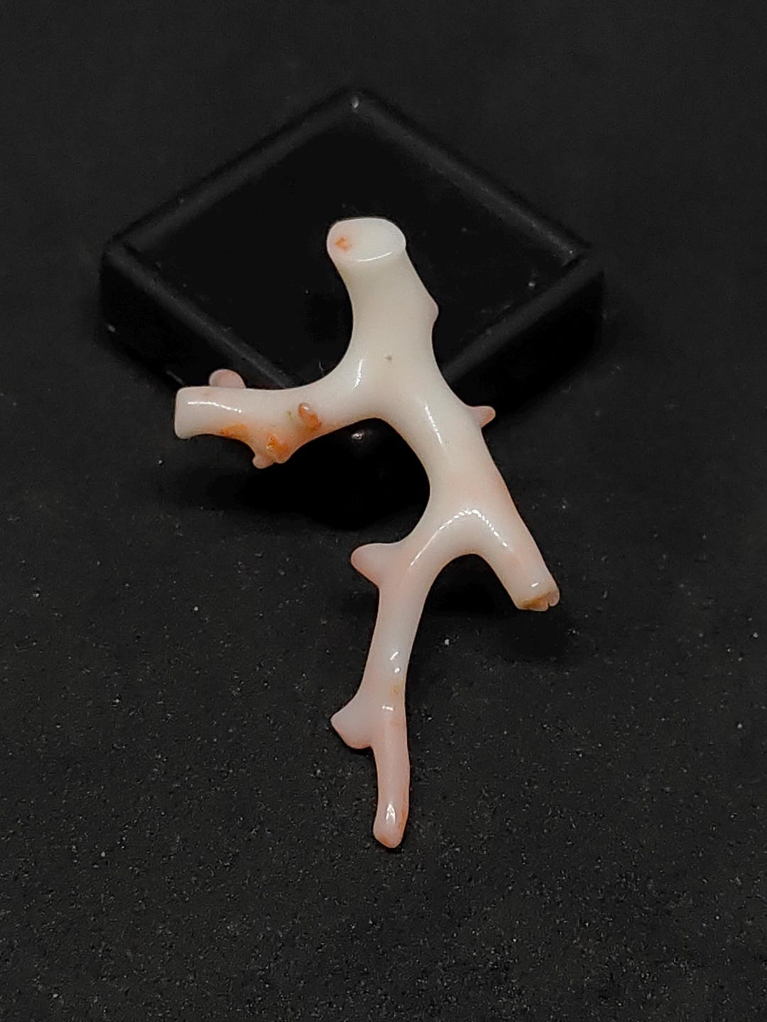 Pink Coral Polished Rough Branch-100%natural Japanese Coral Stick-rare ...