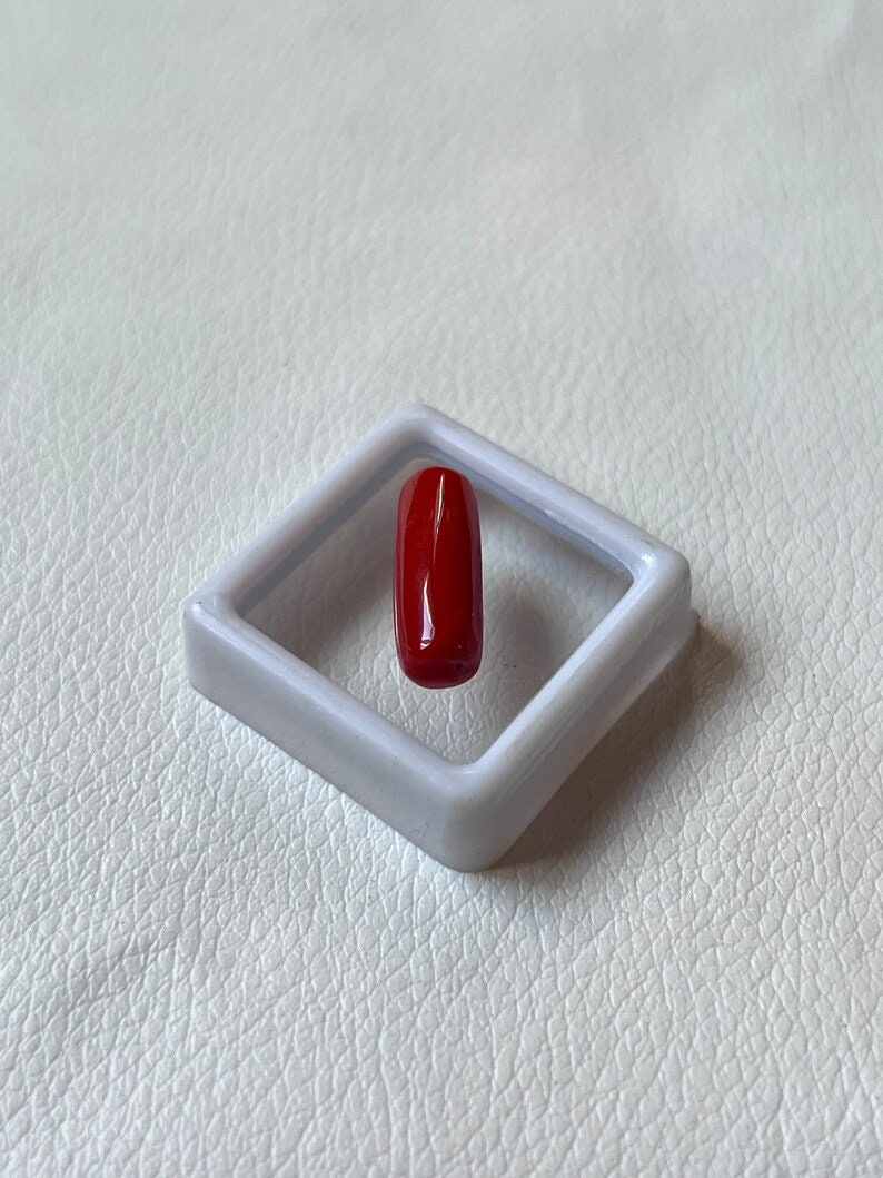 AAA Deep Red Coral Oval Cabochon Gemstone-mediterranean Sea Deep Red ...