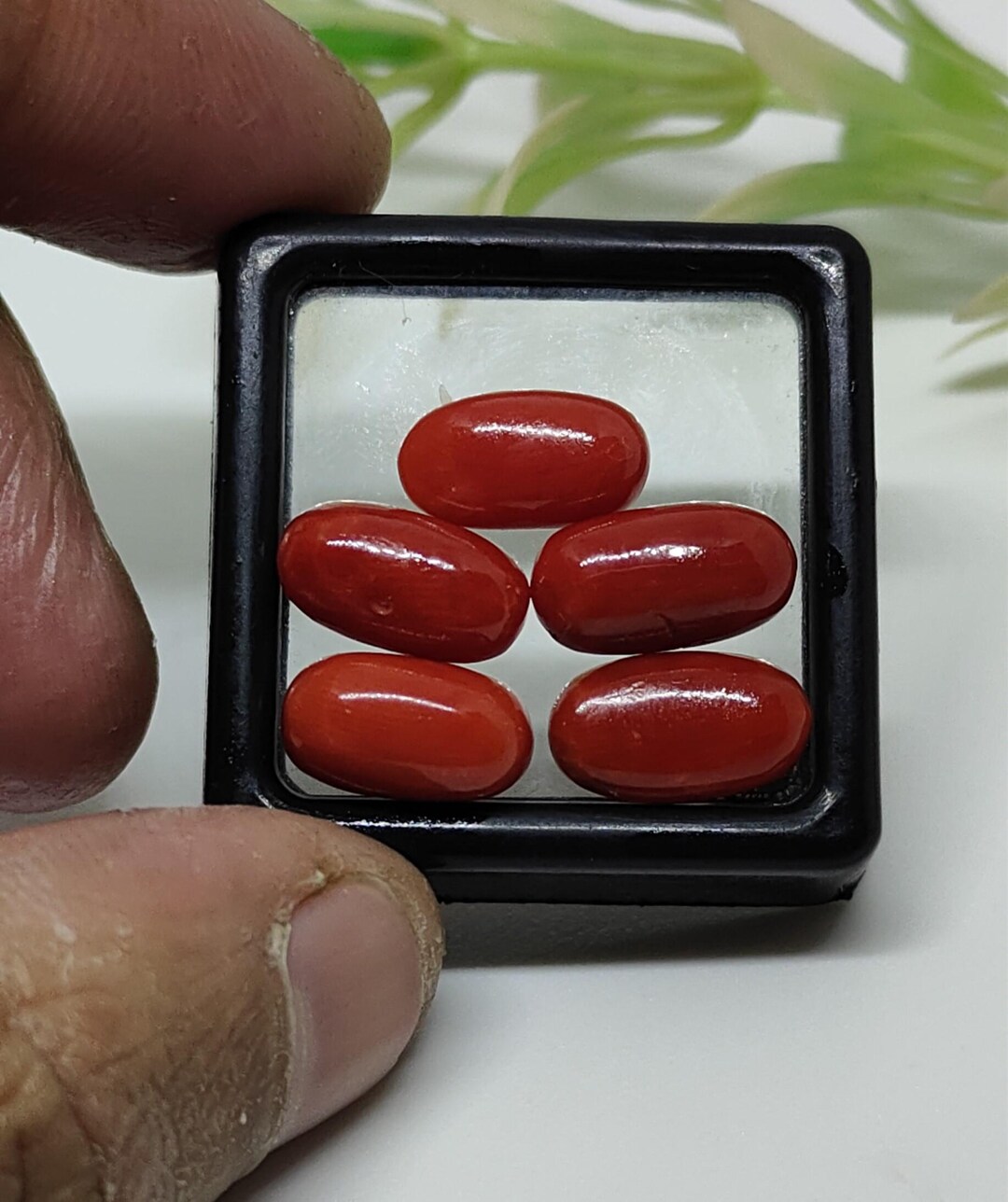 Natural Italian Deep Red Coral Oval Flat Back Cabochon-mediterranean ...