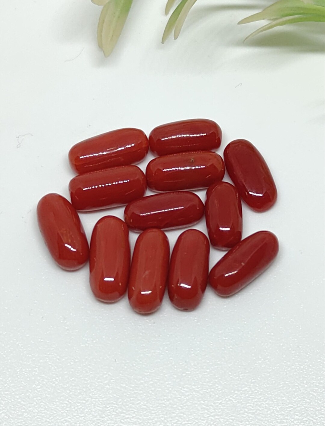 Natural Italian Deep Red Coral Oval Flat Back Cabochon-mediterranean ...