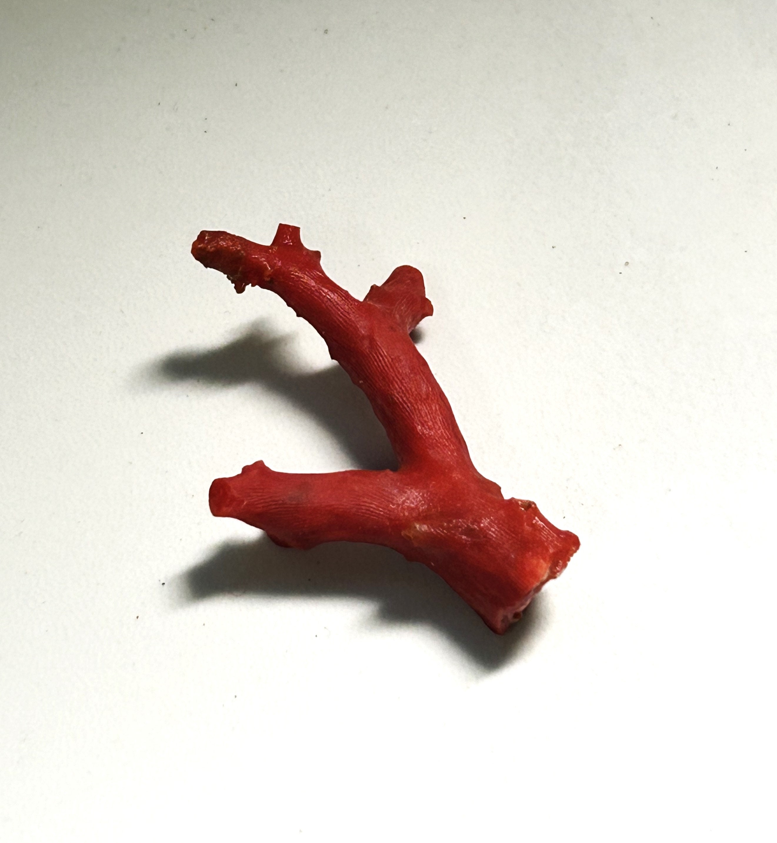 Amazing Red Coral Unpolished Rough Branch-old Stock Vintage Natural Red ...