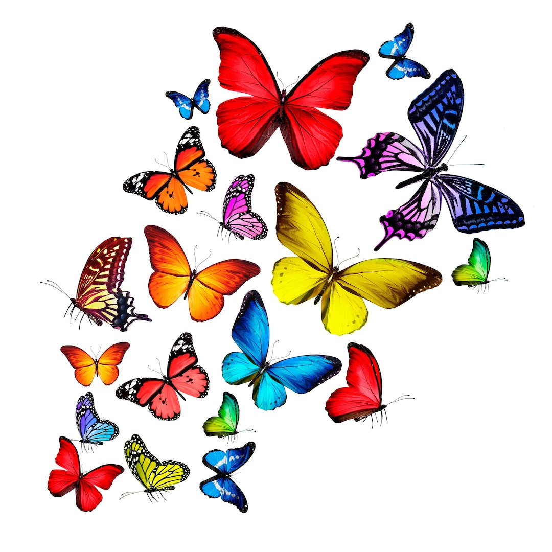 Butterfly Stickers for Car or Bicycle - Decoration for Scooter, Helmet ...