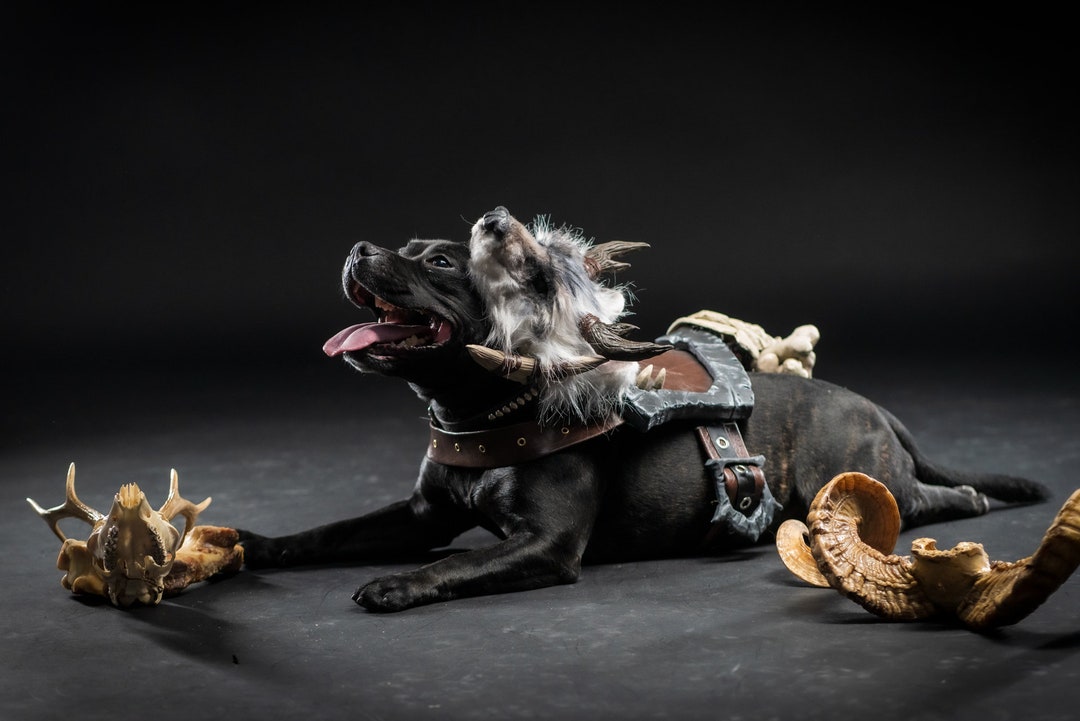 Diablo IV Druid Cosplay Dog Armor - Etsy