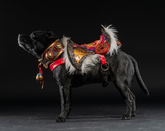 Heimdall Leather Dog Harness Armor - Etsy