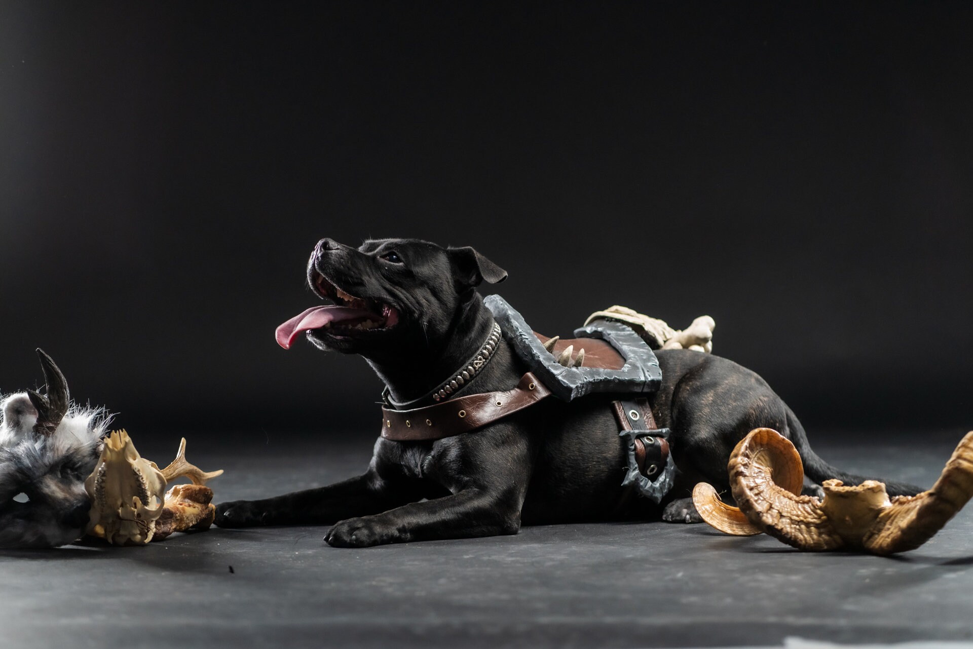 Diablo IV Druid Cosplay Dog Armor - Etsy