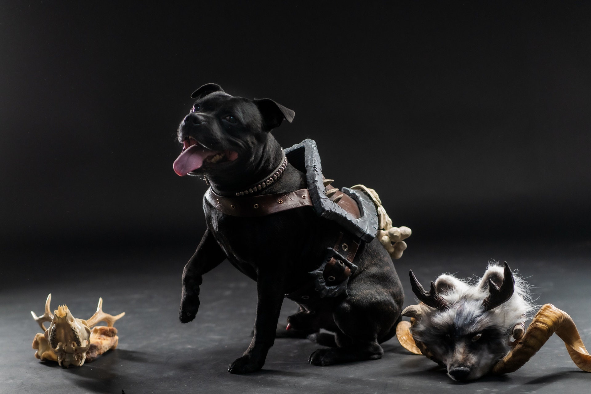 Diablo IV Druid Cosplay Dog Armor - Etsy