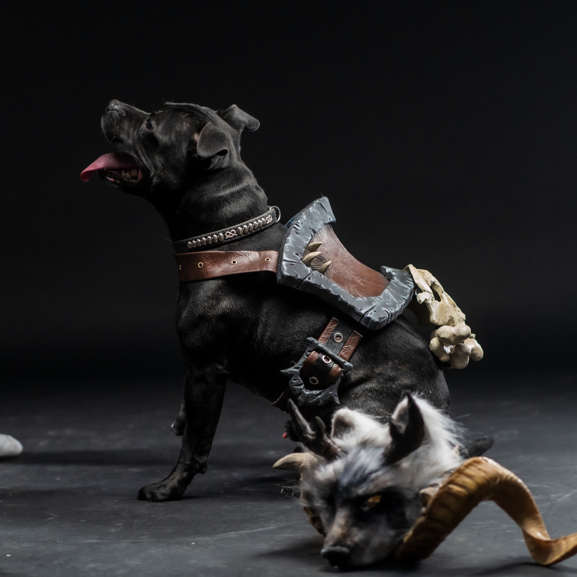 Diablo IV Druid Cosplay Dog Armor - Etsy