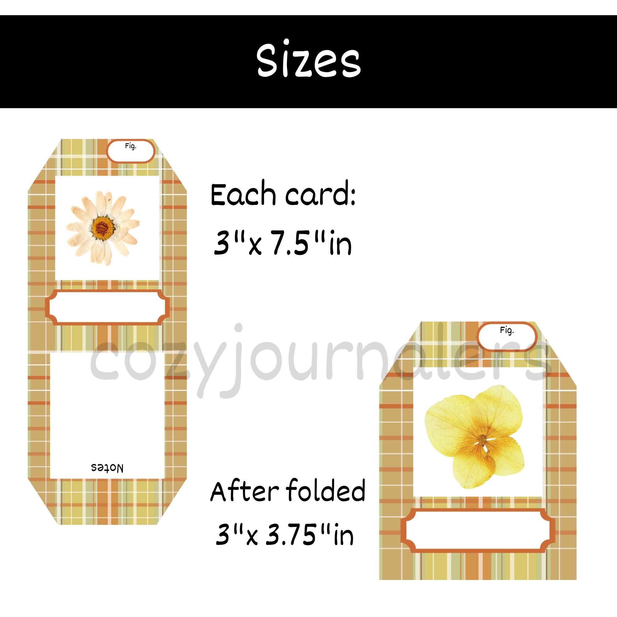 Printable Specimen Card Bundle, DIY Botanical Slide Template, Nature ...