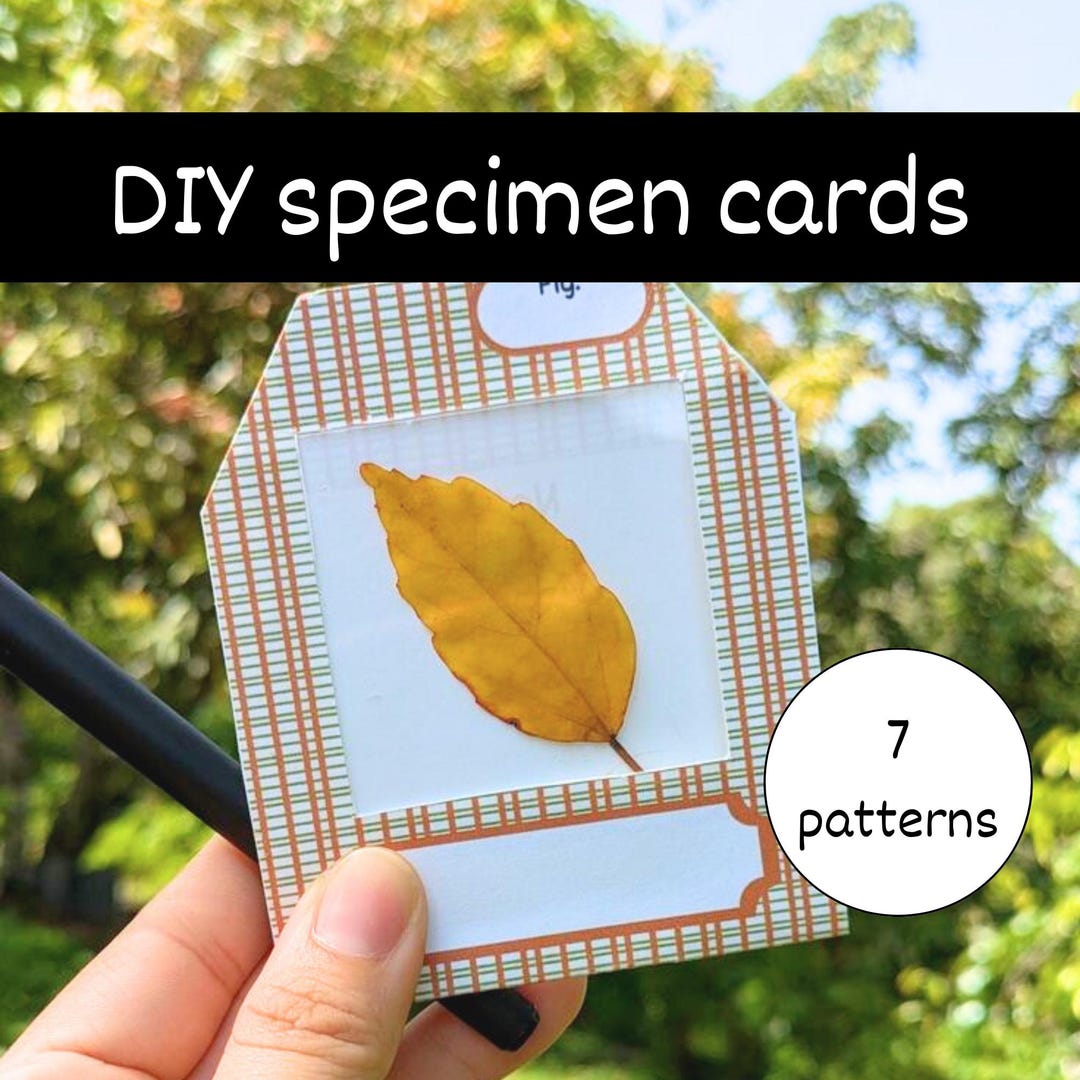 Printable Specimen Card Bundle, DIY Botanical Slide Template, Nature ...