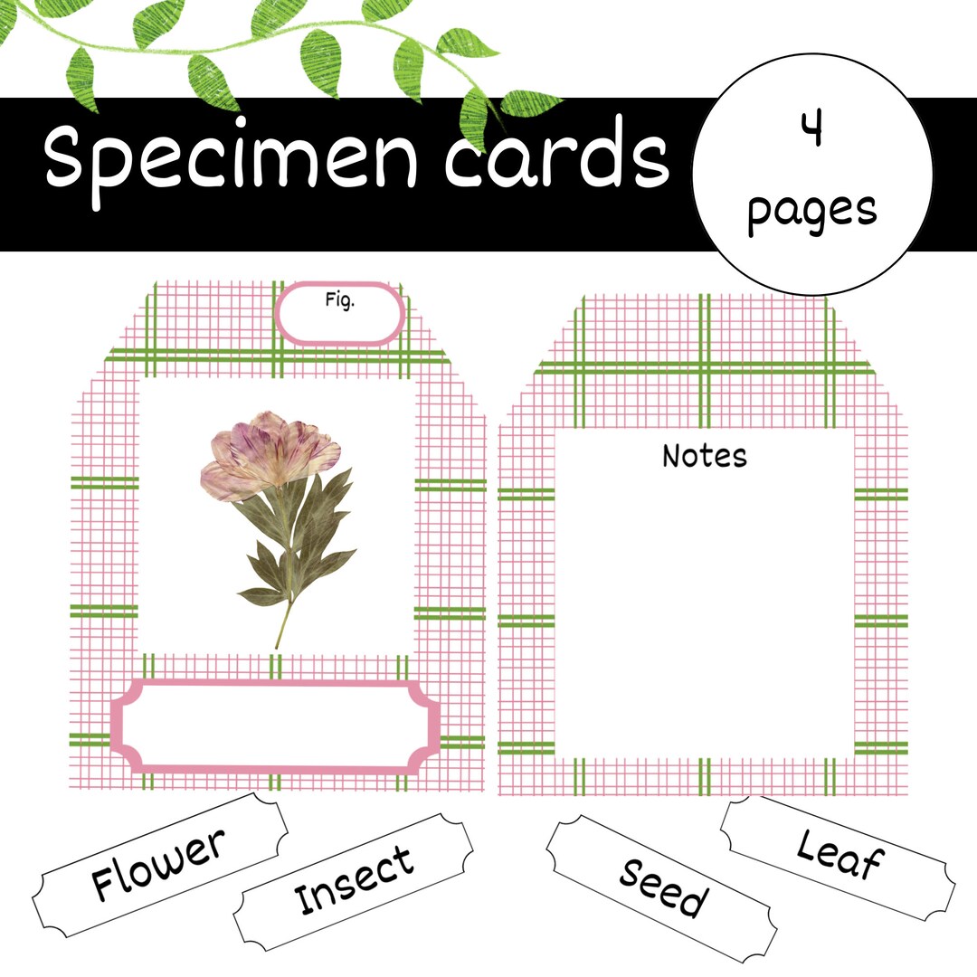 Printable Specimen Card, Botanical Slide Template, Bright Pink Journal ...