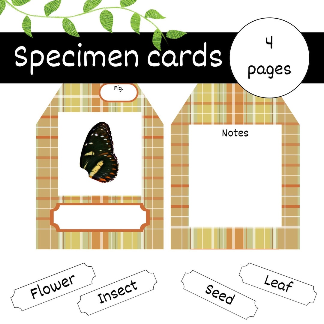 Printable Specimen Card, Botanical Slide Template, Cottagecore Journal ...