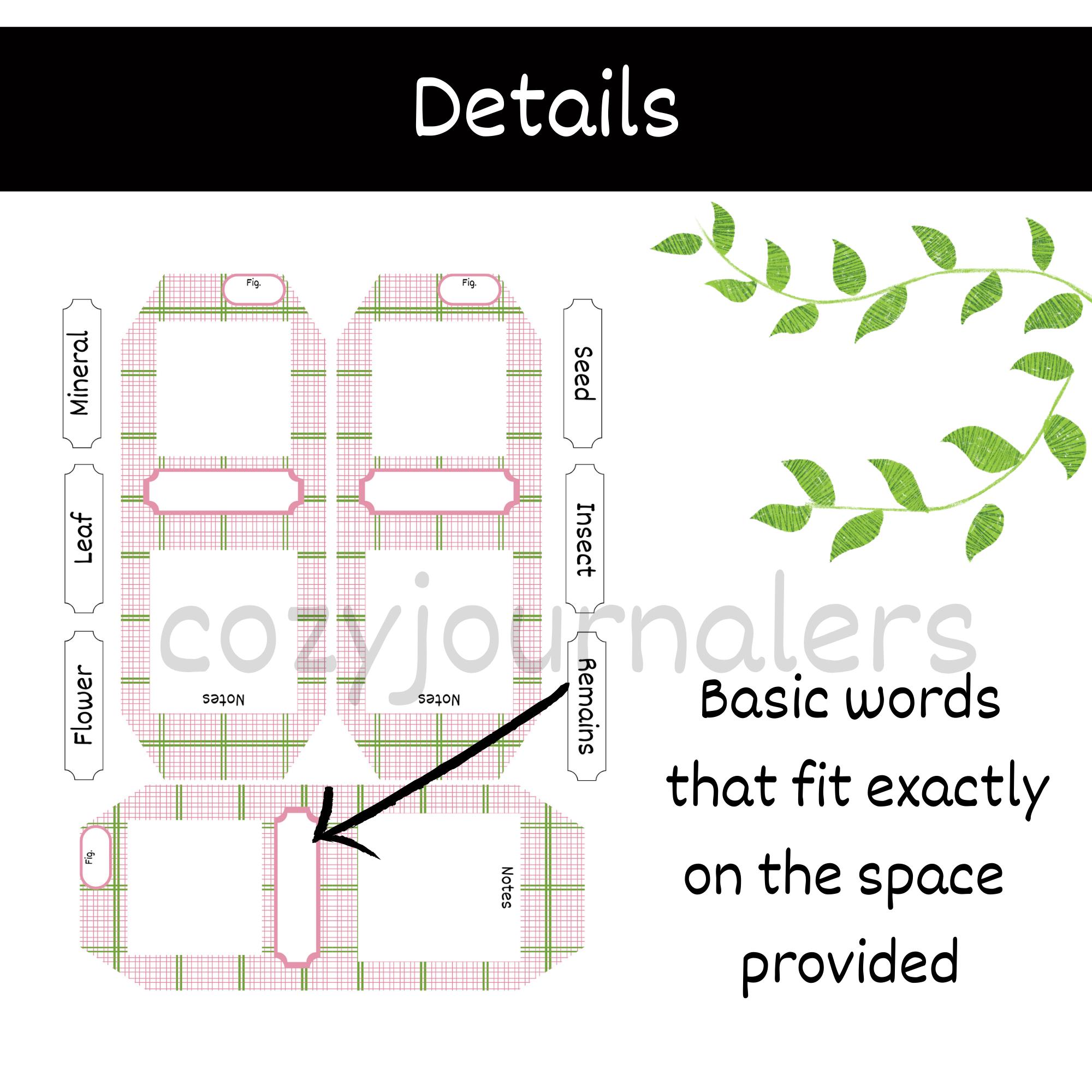 Printable Specimen Card Bundle, DIY Botanical Slide Template, Nature ...