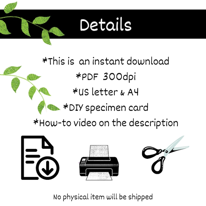 Printable Specimen Card Bundle, DIY Botanical Slide Template, Nature ...