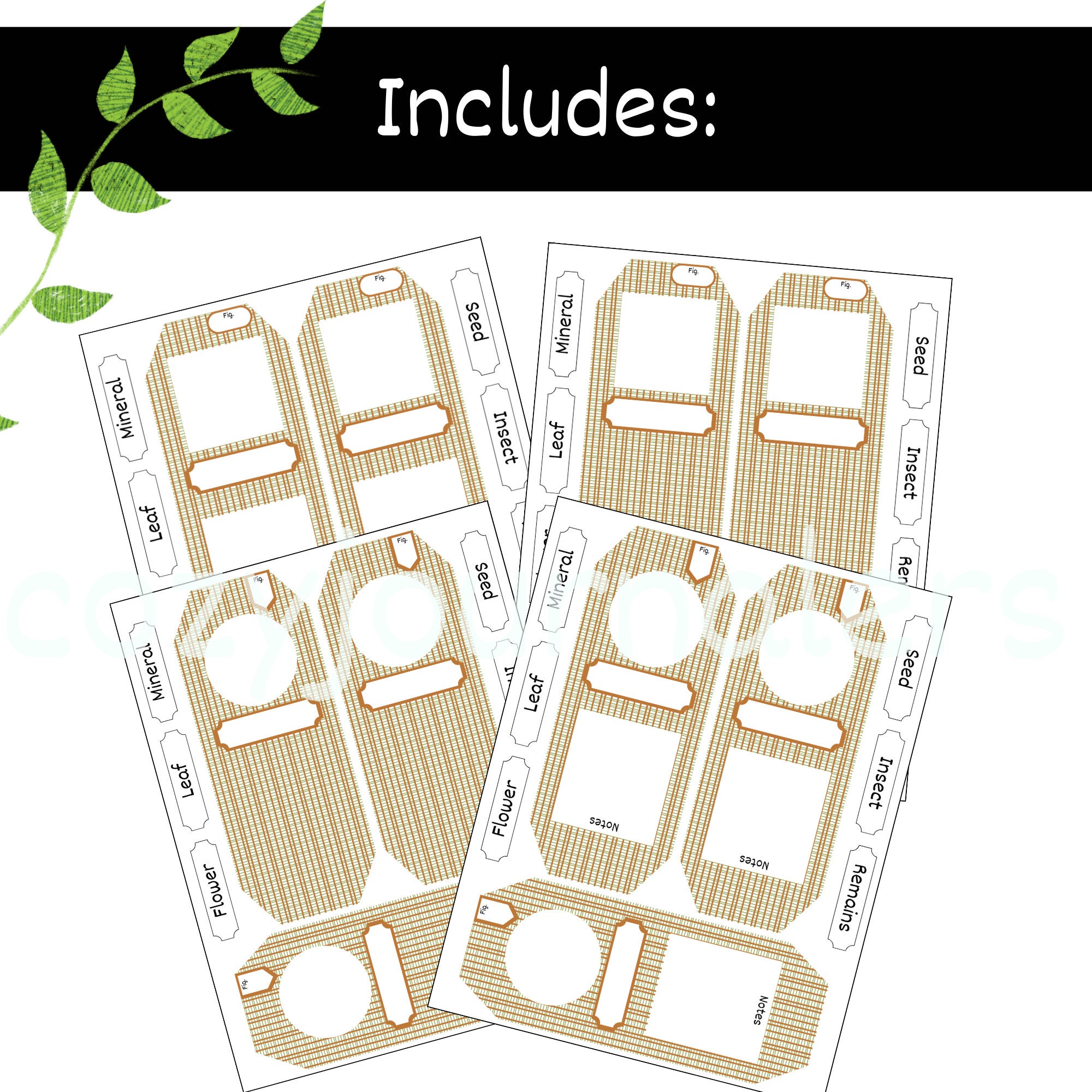 Printable Specimen Card, Botanical Slide Template, Nature Journal Card ...