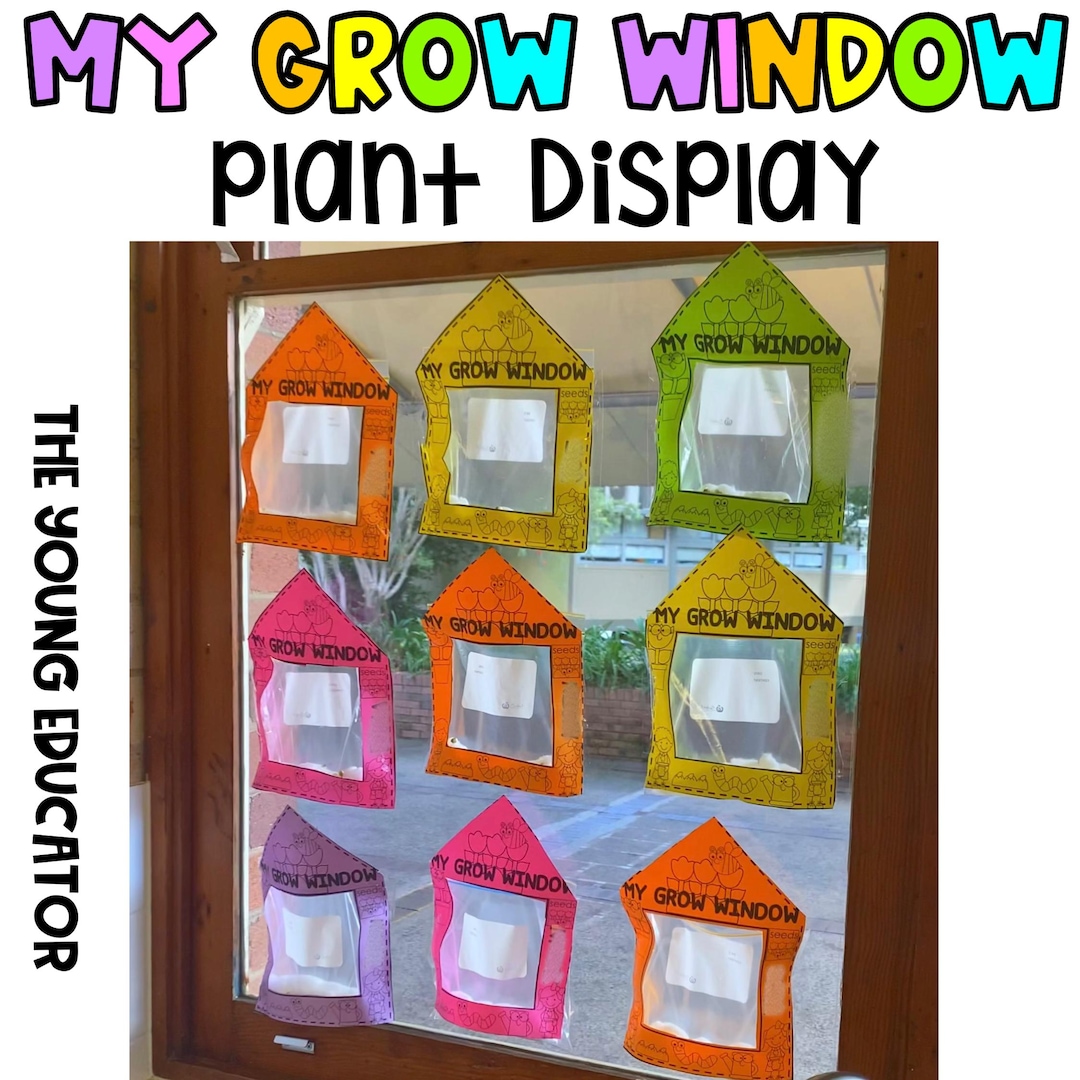 MY GROW WINDOW | Plant Window Display | Life Cycles | Grow a Plant ...