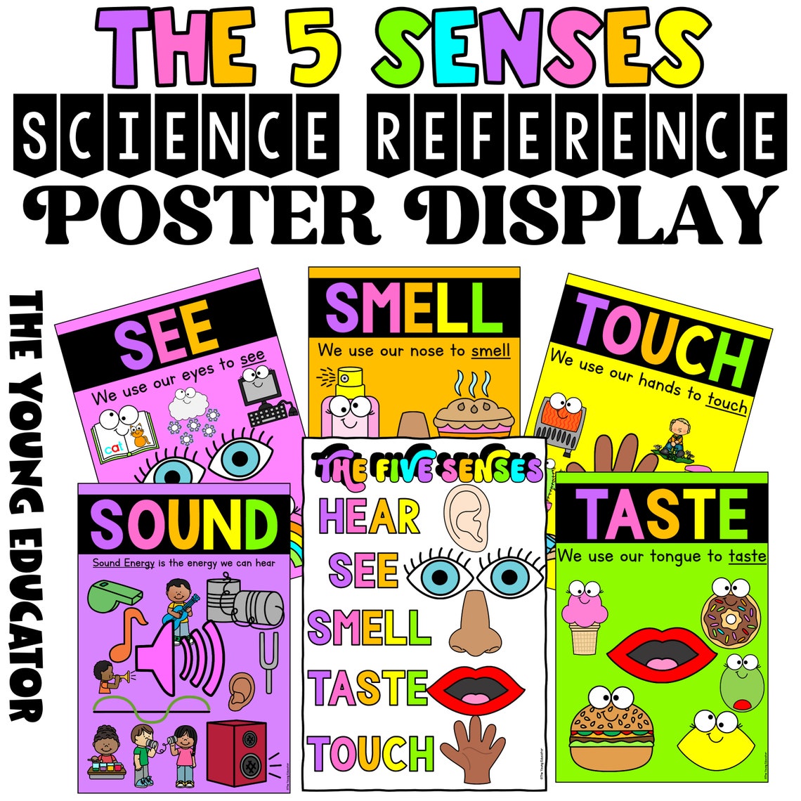 THE 5 SENSES of Observation Rainbow Science Poster Display / Our Five ...