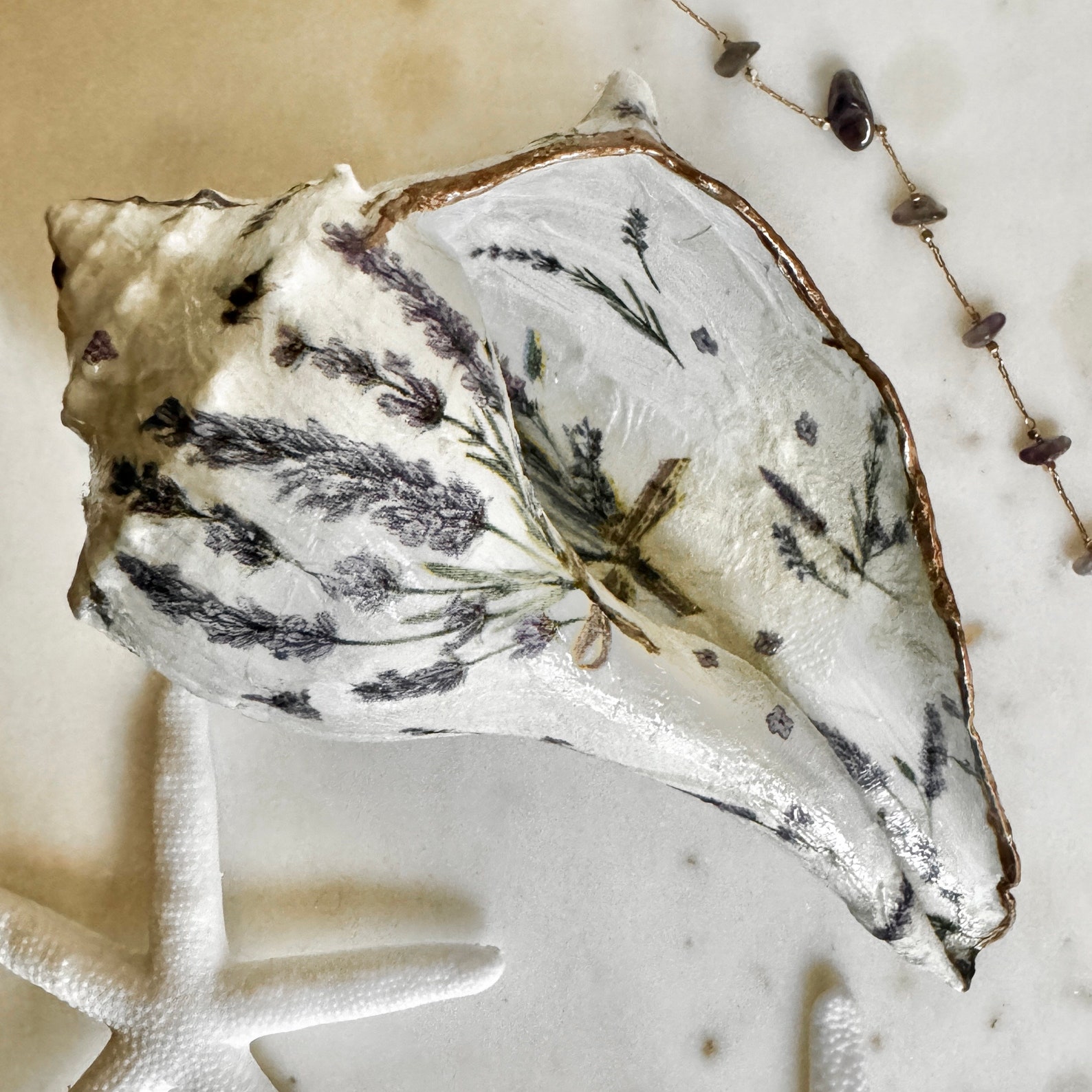 Whelk Shell, Lavender Collection, Decoupage, Home Decor, Coastal Decor ...