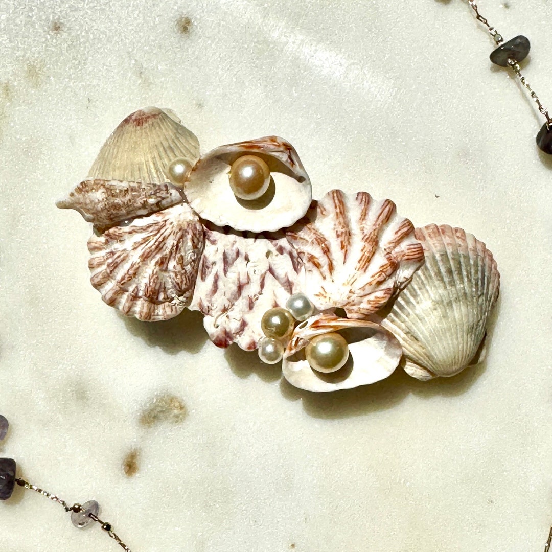 Seashell Hair Clip, Natural Seashells, Pearls, Mermaid Hair, Wedding ...