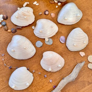 Handcrafted Decoupage Clam Shell: Purple Flowers & Butterfly Trinket ...