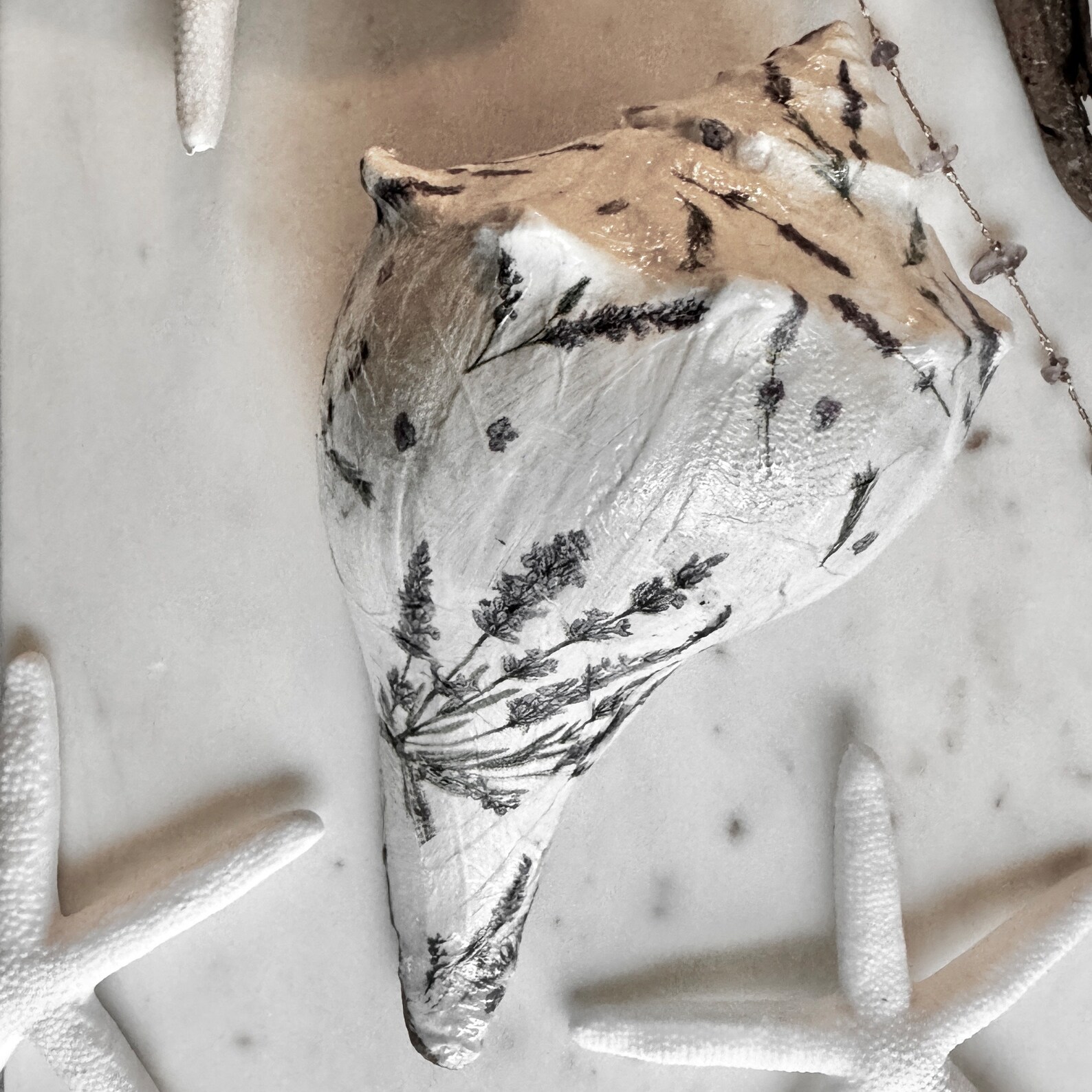 Whelk Shell, Lavender Collection, Decoupage, Home Decor, Coastal Decor ...