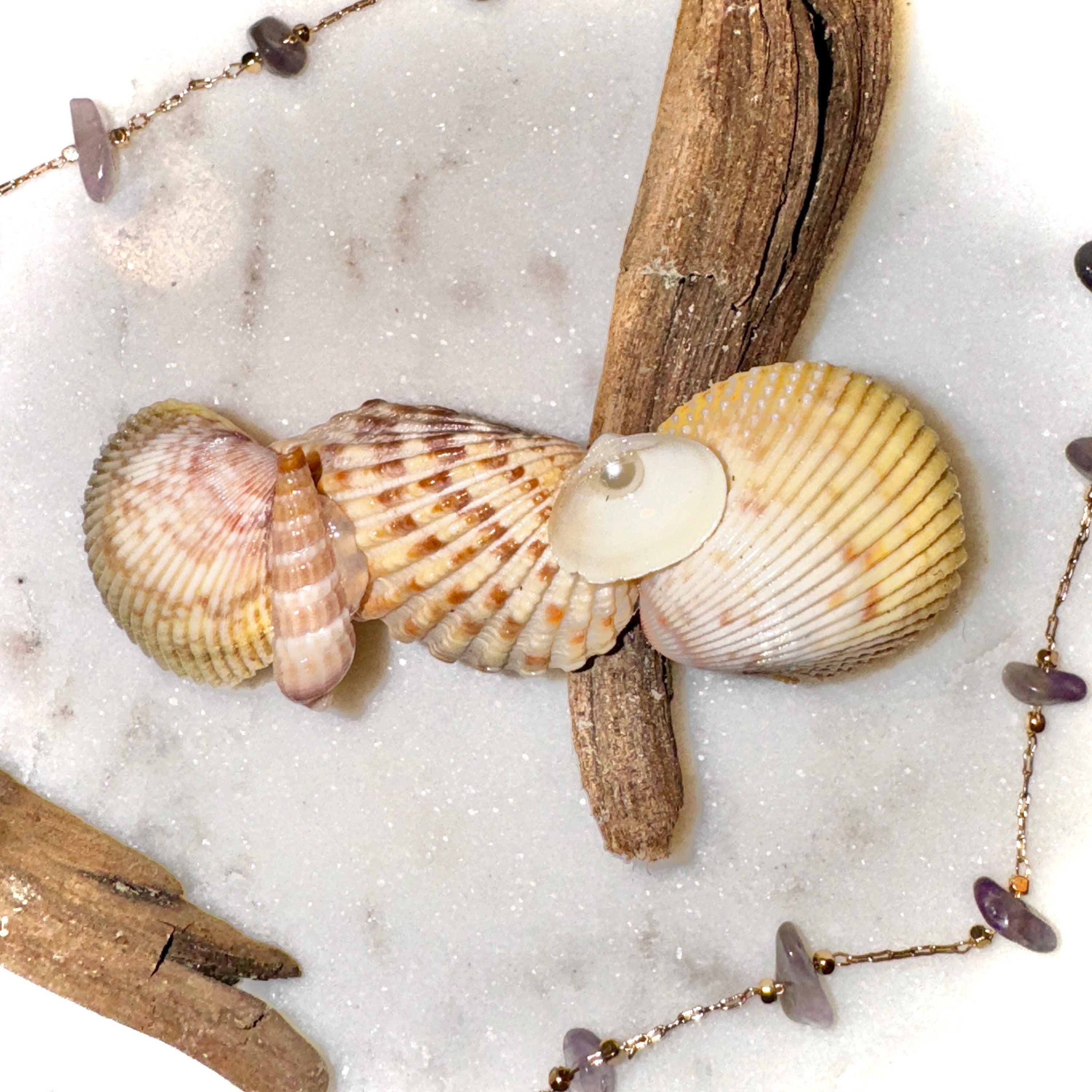 Hair Clip, Seashell Hair Clip, Pearls, Mermaid Hair, Wedding Hair ...