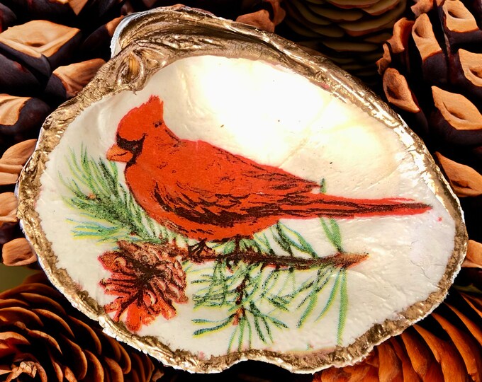 Coastal Clam Shell, Cardinal, Ring/trinket Dish - Etsy