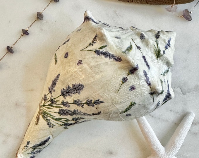 Whelk Shell, Lavender Collection, Decoupage, Home Decor, Coastal Decor ...