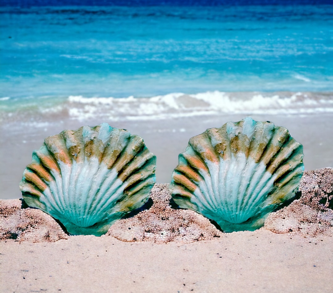 Large Silicone Shells for Mermaid Tops - Etsy
