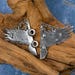 Raven Cloak Clasp - Etsy