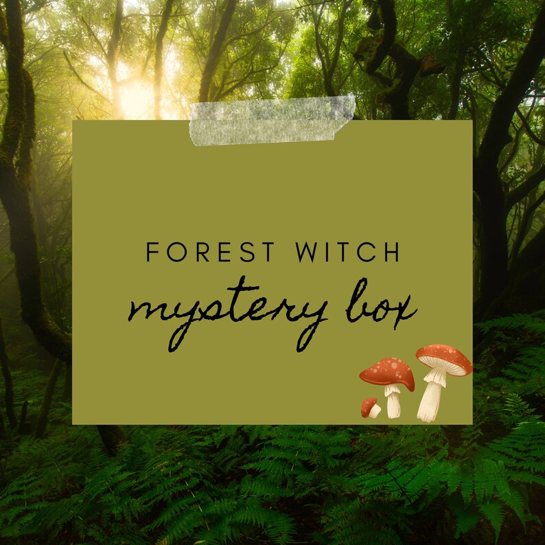 Forest Witch Mystery Box Earth Magic Kit Witchy Gift Magical Mystery ...