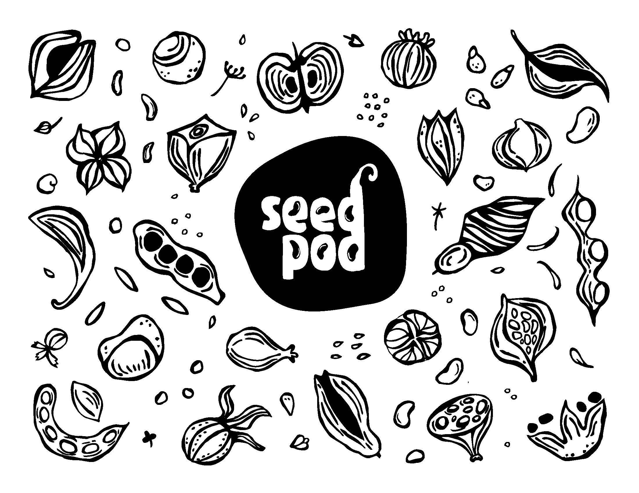 Digital Download Botanical Seedpod Doodle Clipart, Rustic, Cottagecore ...