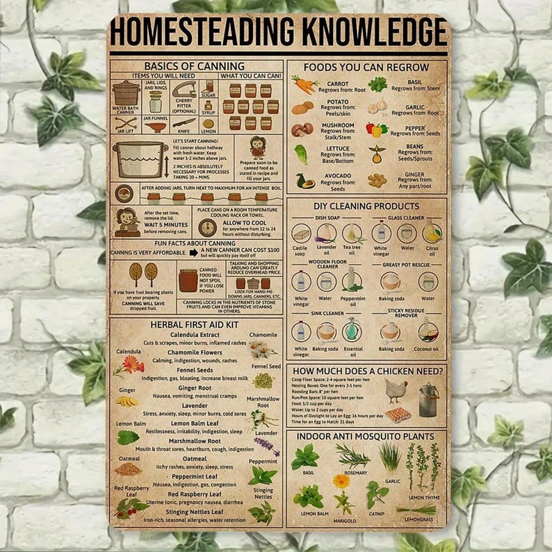 Vintage Homesteading Knowledge Poster, Knowledge Poster, Homesteading ...